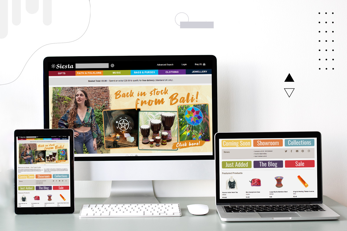 Our Portfolio - Software Development Success Stories and Case Studies