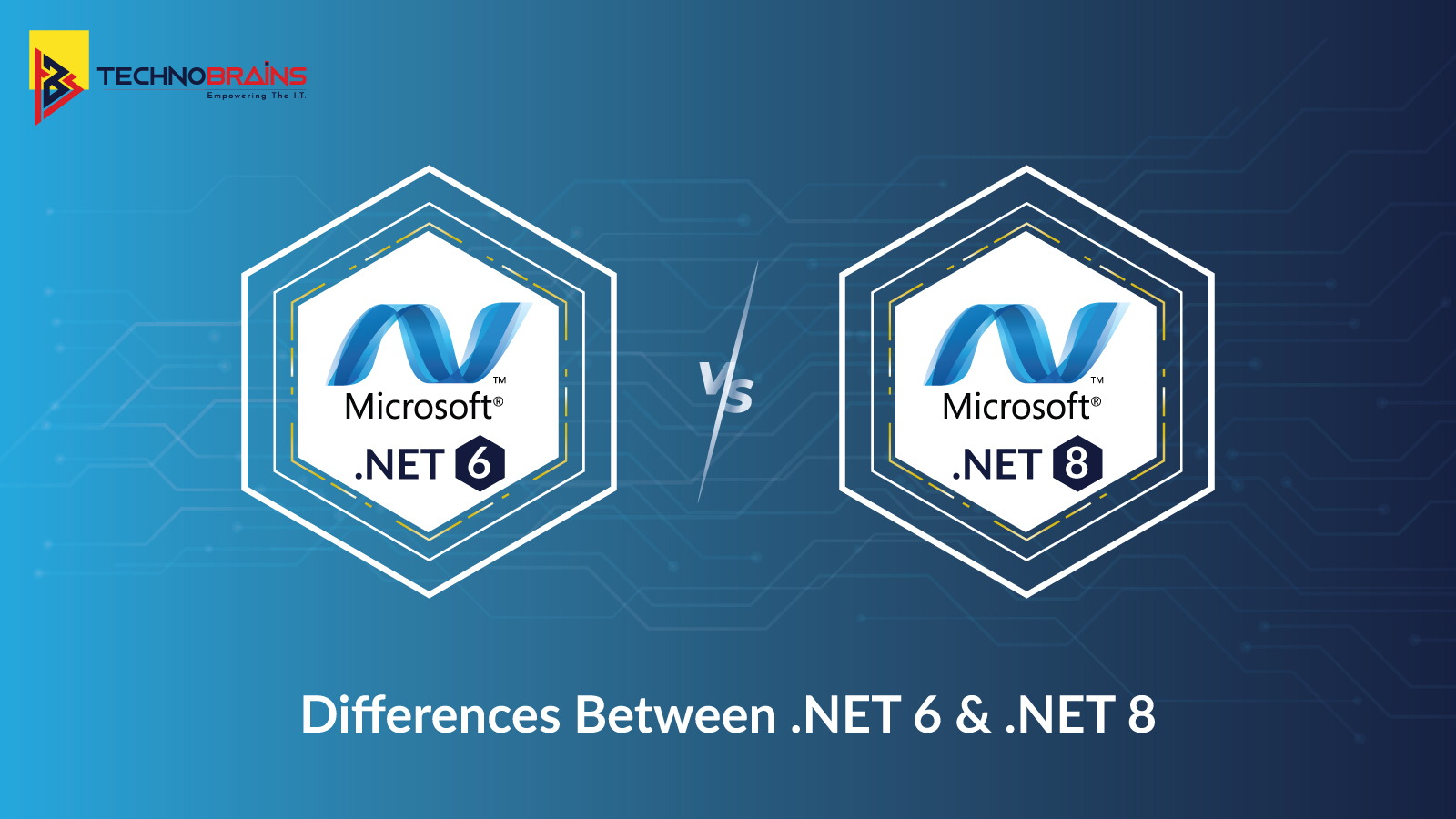 Best Software Development Company | TechnoBrains